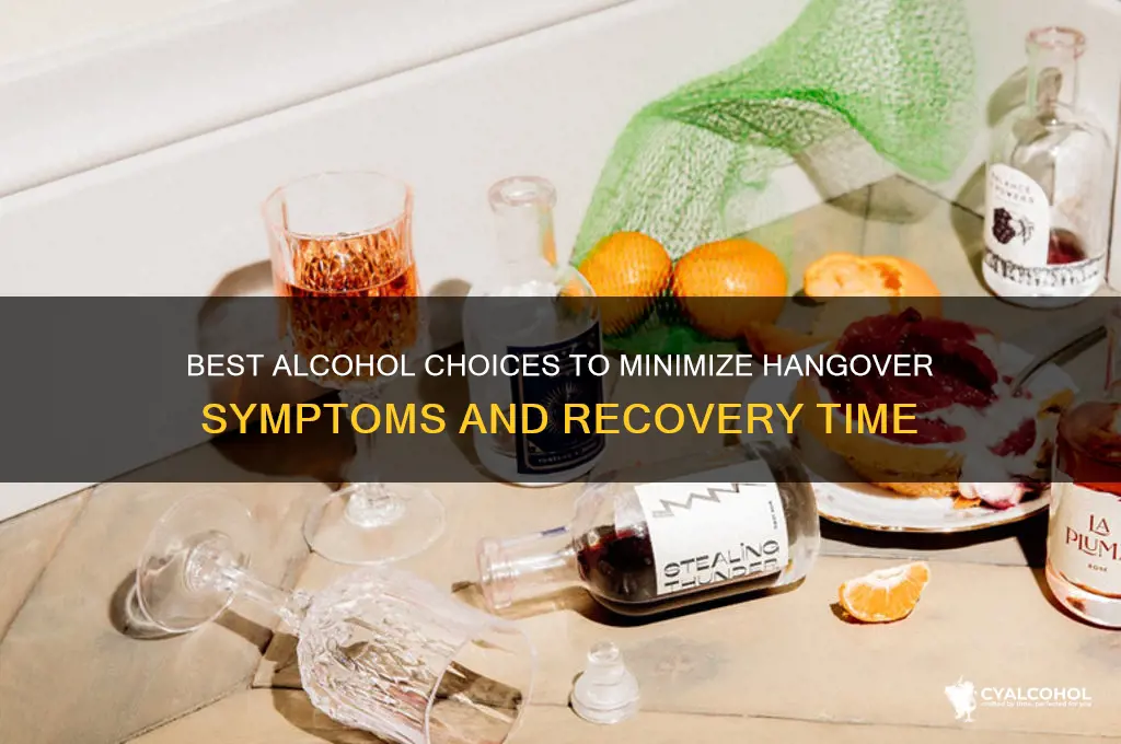 Best Alcohol Choices To Minimize Hangover Symptoms And Recovery Time ...