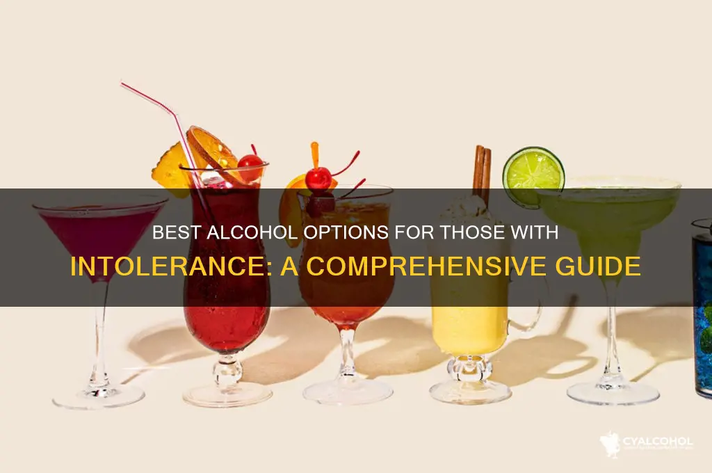 Best Alcohol Options For Those With Intolerance: A Comprehensive Guide ...