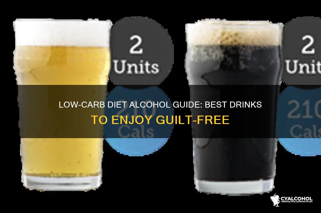 Low-Carb Diet Alcohol Guide: Best Drinks To Enjoy Guilt-Free | CyAlcohol
