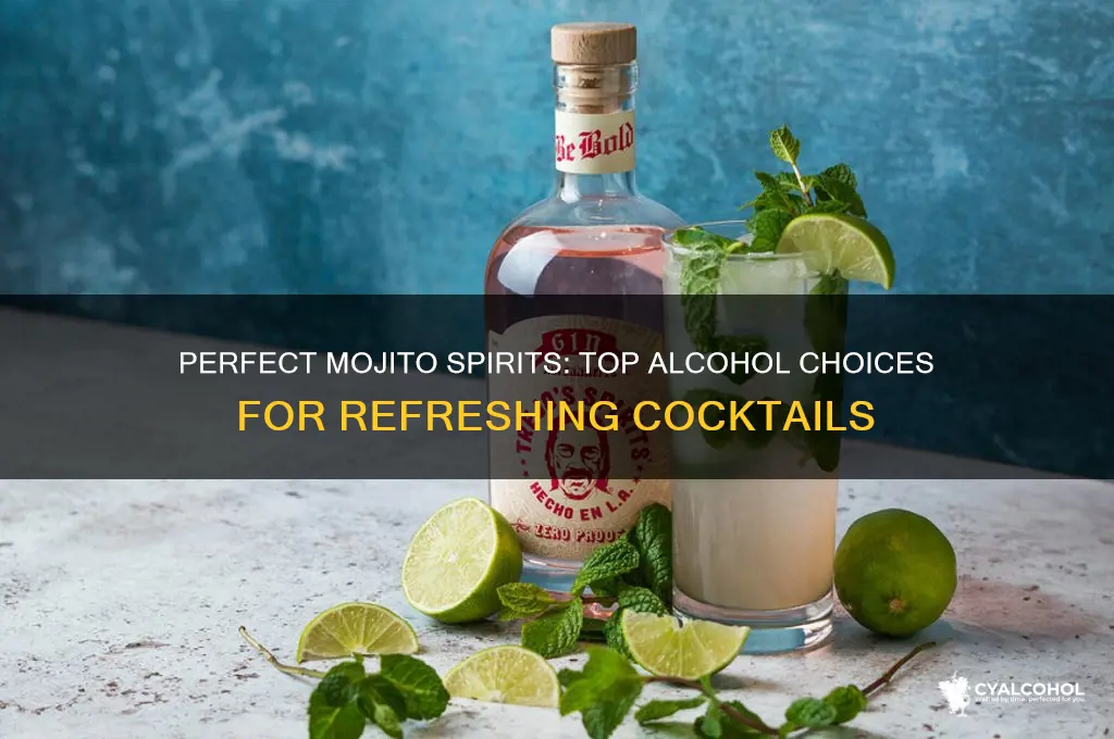 Perfect Mojito Spirits: Top Alcohol Choices For Refreshing Cocktails ...