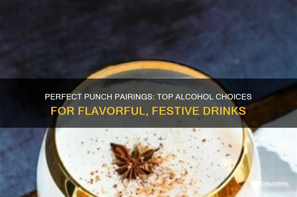 Perfect Punch Pairings: Top Alcohol Choices For Flavorful, Festive ...
