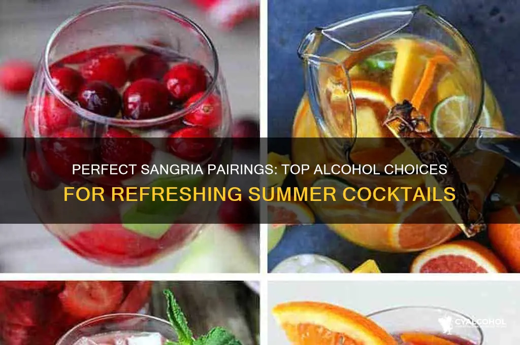 Perfect Sangria Pairings: Top Alcohol Choices For Refreshing Summer ...