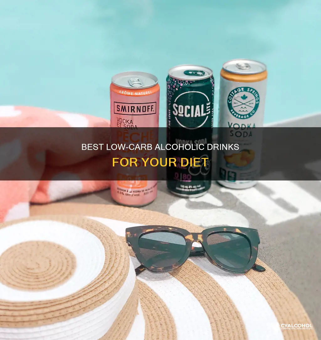 Best Low-Carb Alcoholic Drinks For Your Diet | CyAlcohol
