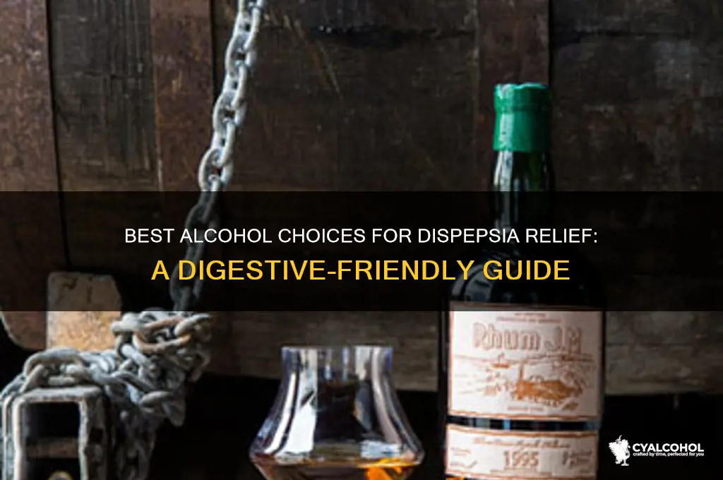 Best Alcohol Choices For Dispepsia Relief: A Digestive-Friendly Guide ...