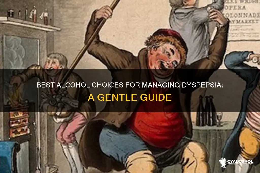 Best Alcohol Choices For Managing Dyspepsia: A Gentle Guide | CyAlcohol