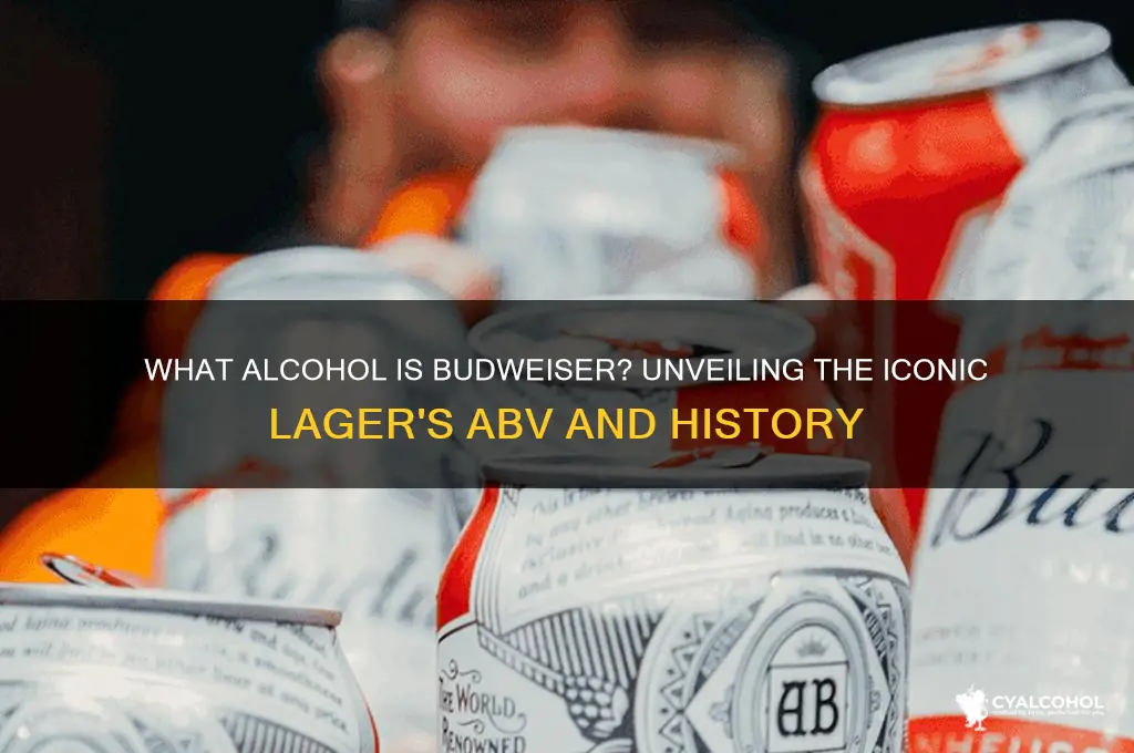 What Alcohol Is Budweiser? Unveiling The Iconic Lager's Abv And History ...