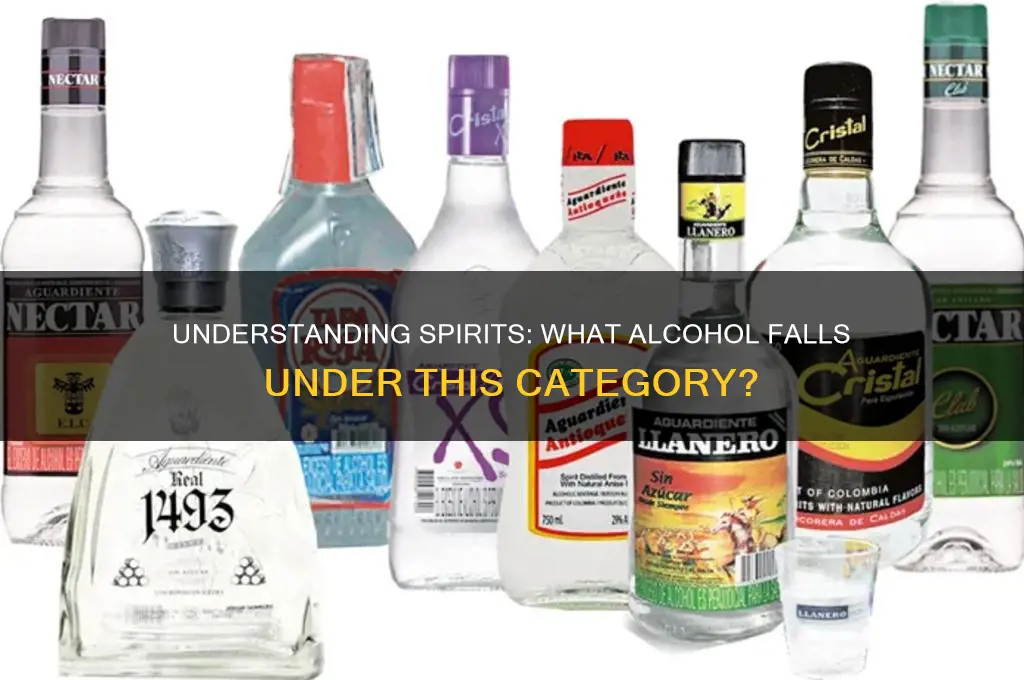 Understanding Spirits: What Alcohol Falls Under This Category? | CyAlcohol