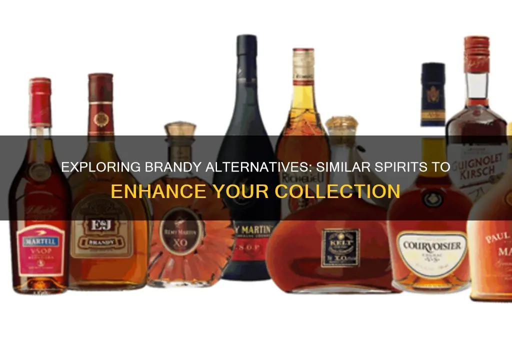 Exploring Brandy Alternatives: Similar Spirits To Enhance Your ...