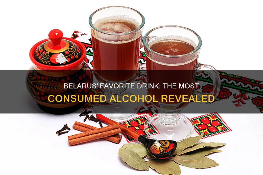 Belarus' Favorite Drink: The Most Consumed Alcohol Revealed | CyAlcohol