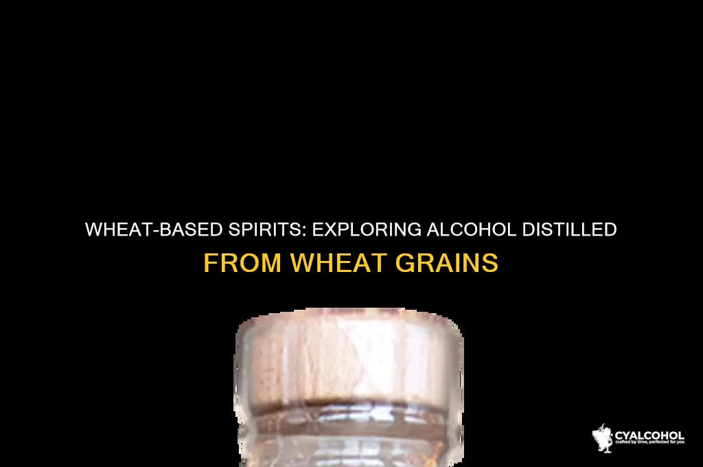 Wheat-Based Spirits: Exploring Alcohol Distilled From Wheat Grains ...