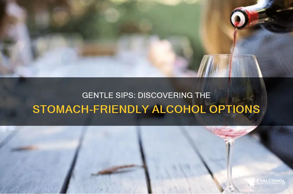 Gentle Sips: Discovering The Stomach-Friendly Alcohol Options | CyAlcohol