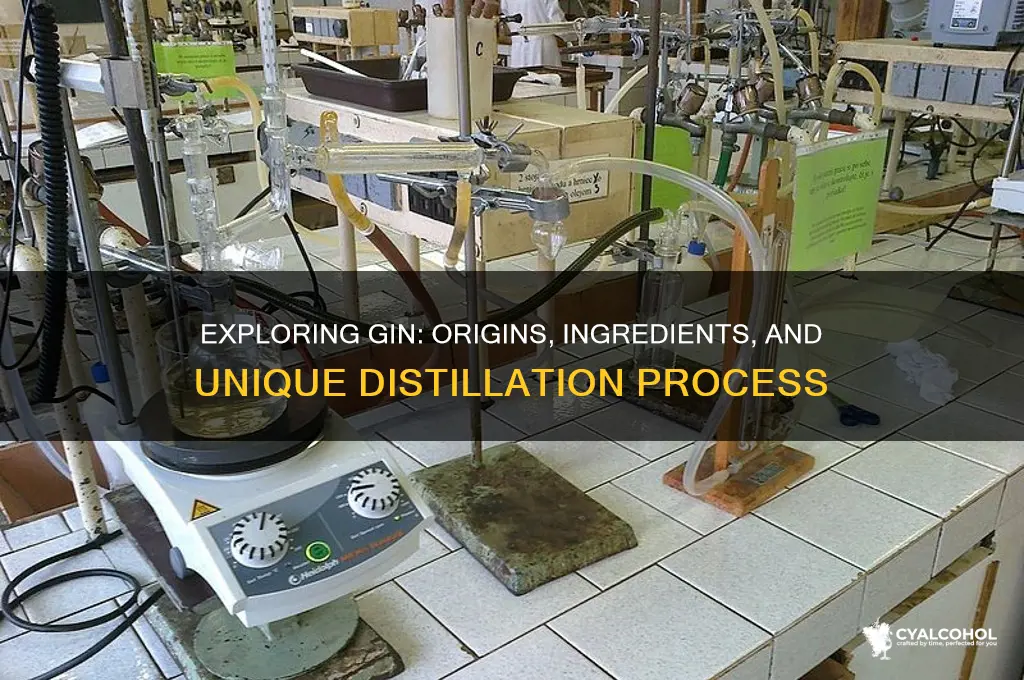Exploring Gin: Origins, Ingredients, And Unique Distillation Process ...