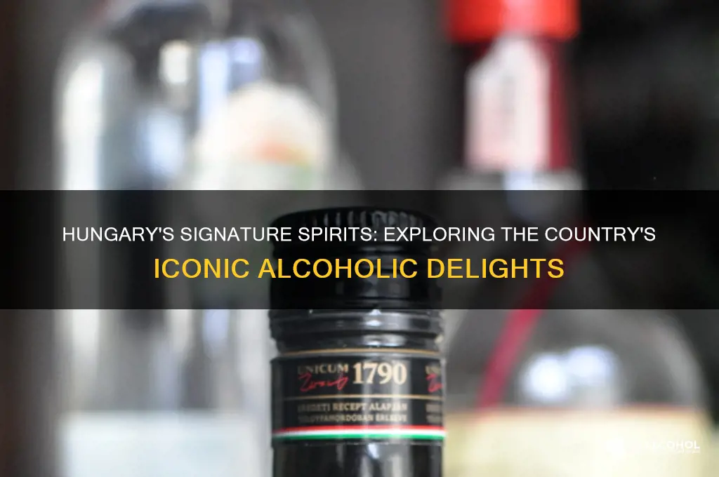 Hungary's Signature Spirits: Exploring The Country's Iconic Alcoholic ...