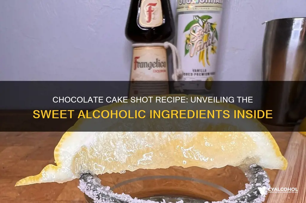 Chocolate Cake Shot Recipe: Unveiling The Sweet Alcoholic Ingredients ...