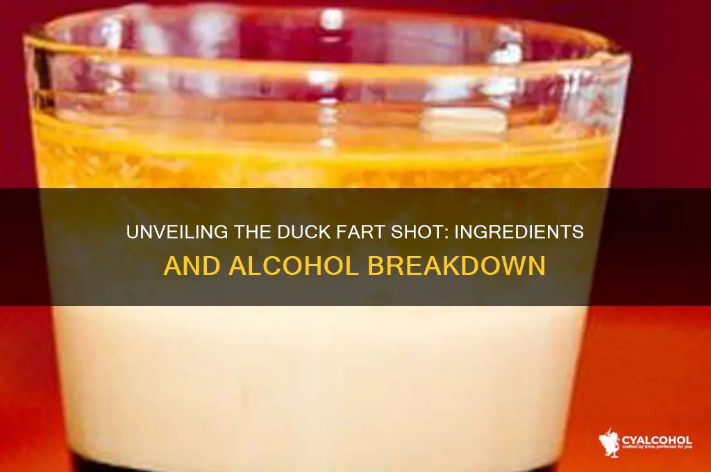 Unveiling The Duck Fart Shot: Ingredients And Alcohol Breakdown | CyAlcohol