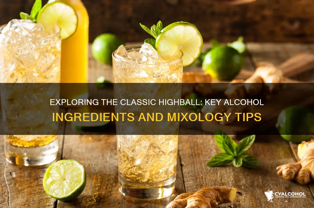 Exploring The Classic Highball: Key Alcohol Ingredients And Mixology ...