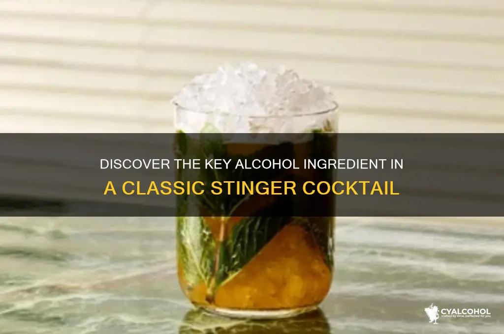 Discover The Key Alcohol Ingredient In A Classic Stinger Cocktail ...