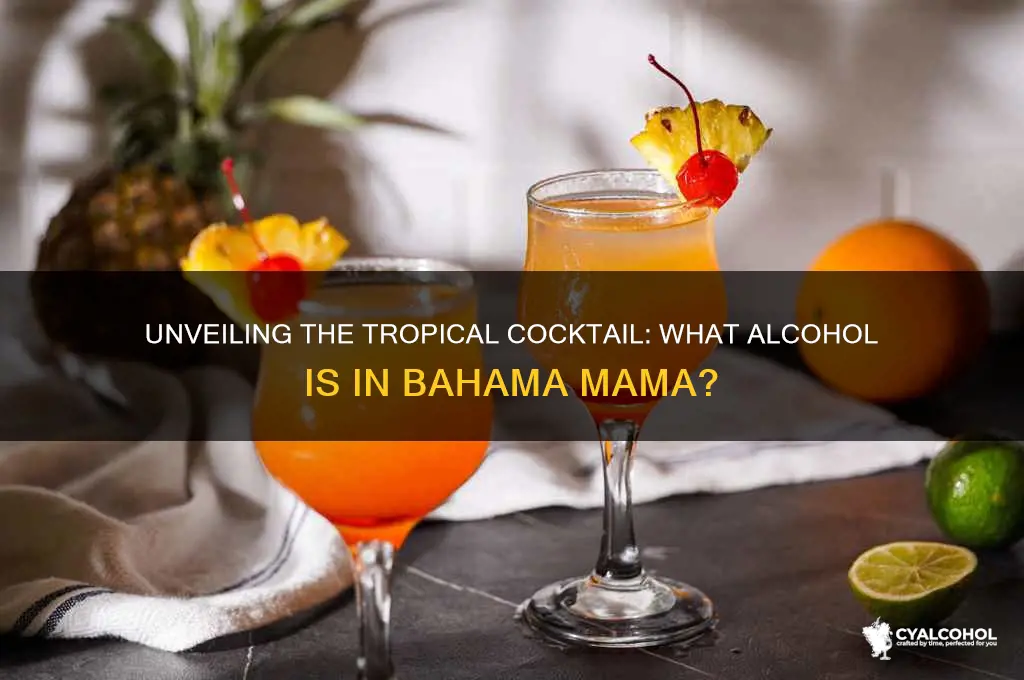 Unveiling The Tropical Cocktail: What Alcohol Is In Bahama Mama ...