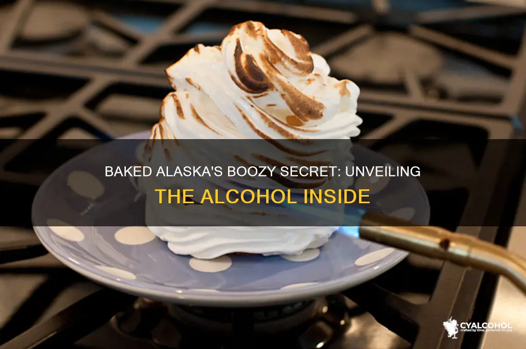 Baked Alaska's Boozy Secret: Unveiling The Alcohol Inside | CyAlcohol