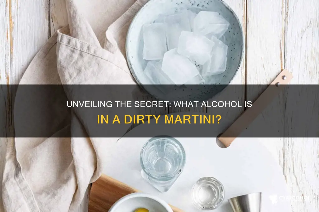 Unveiling The Secret: What Alcohol Is In A Dirty Martini? | CyAlcohol