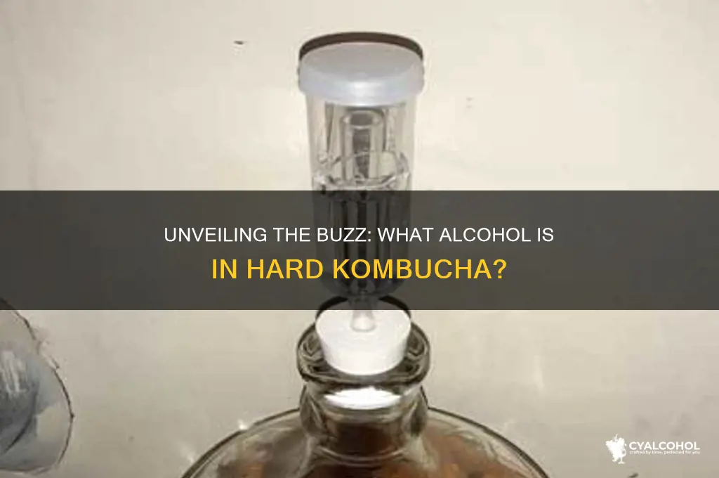 Unveiling The Buzz: What Alcohol Is In Hard Kombucha? | CyAlcohol