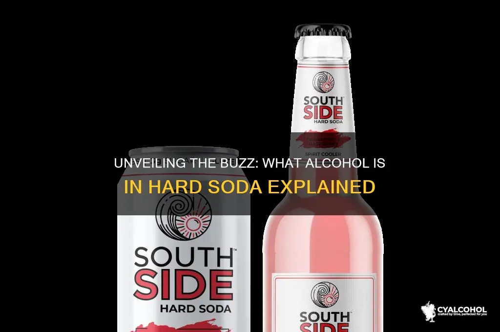 Unveiling The Buzz: What Alcohol Is In Hard Soda Explained | CyAlcohol