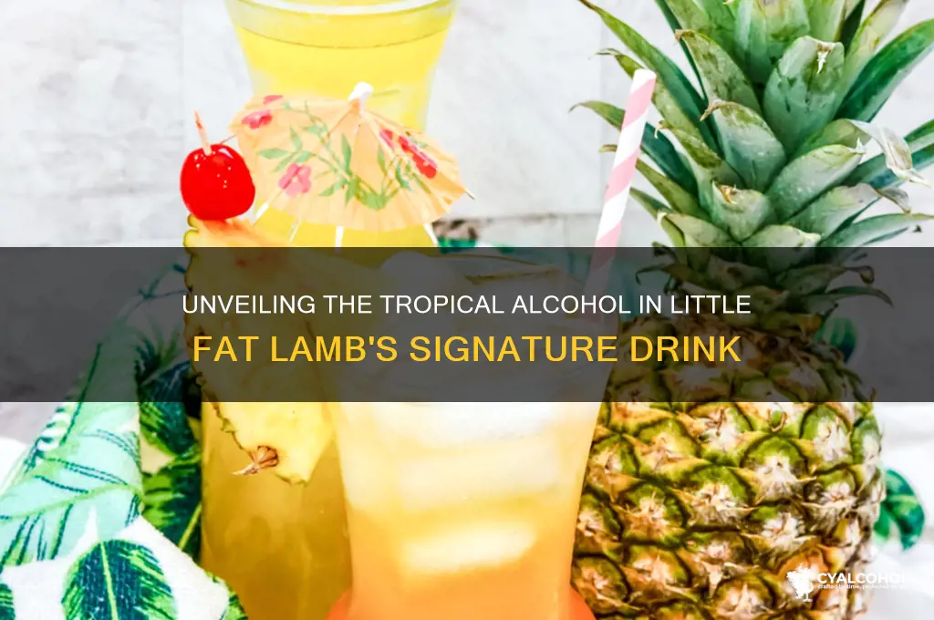 Unveiling The Tropical Alcohol In Little Fat Lamb's Signature Drink ...
