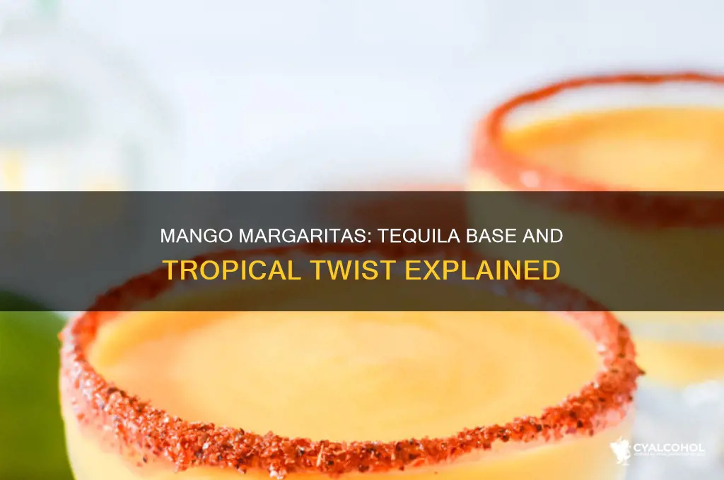 Mango Margaritas: Tequila Base And Tropical Twist Explained | CyAlcohol
