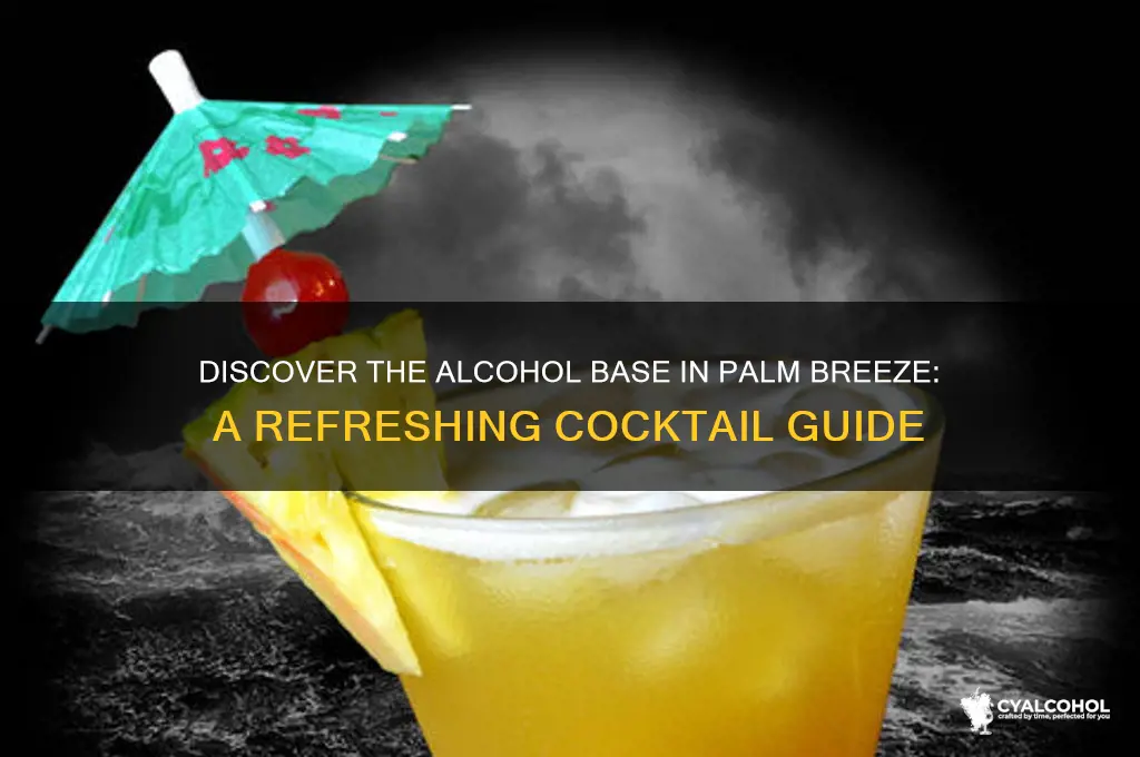 Discover The Alcohol Base In Palm Breeze: A Refreshing Cocktail Guide ...