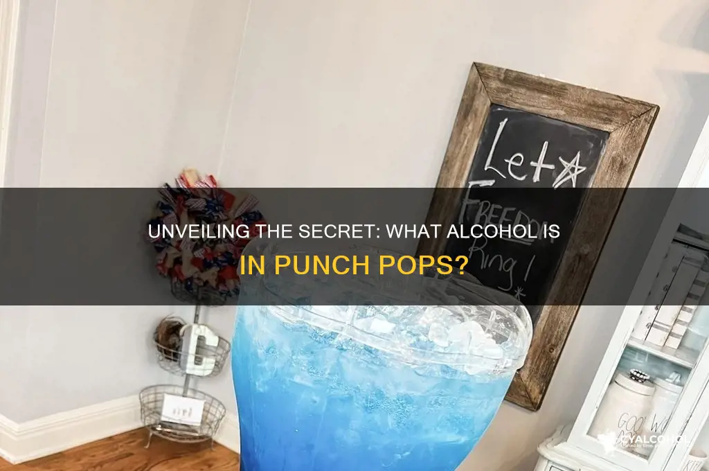Unveiling The Secret: What Alcohol Is In Punch Pops? | CyAlcohol
