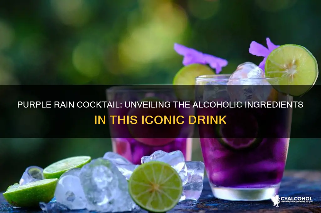 Purple Rain Cocktail: Unveiling The Alcoholic Ingredients In This ...