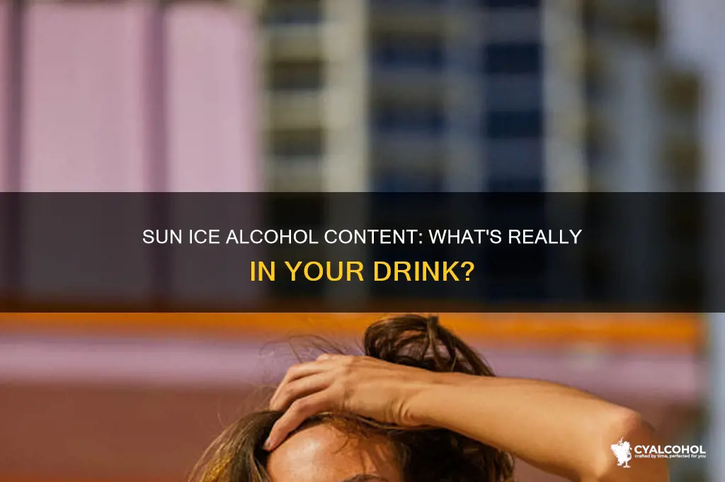 Sun Ice Alcohol Content: What's Really In Your Drink? | CyAlcohol