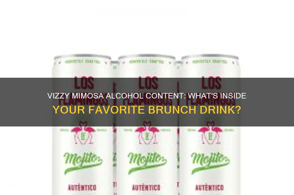 Vizzy Mimosa Alcohol Content: What's Inside Your Favorite Brunch Drink ...