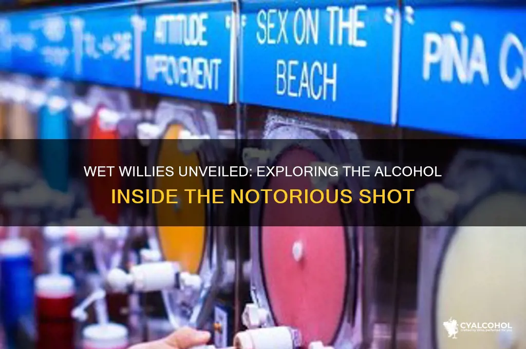 Wet Willies Las Vegas