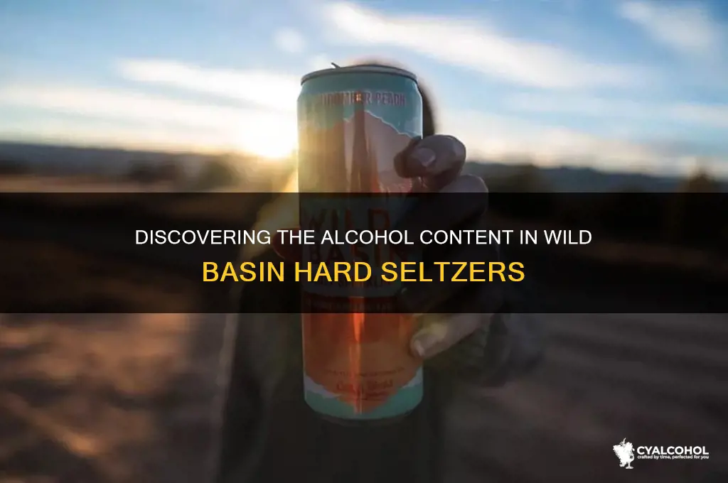 Discovering The Alcohol Content In Wild Basin Hard Seltzers | CyAlcohol