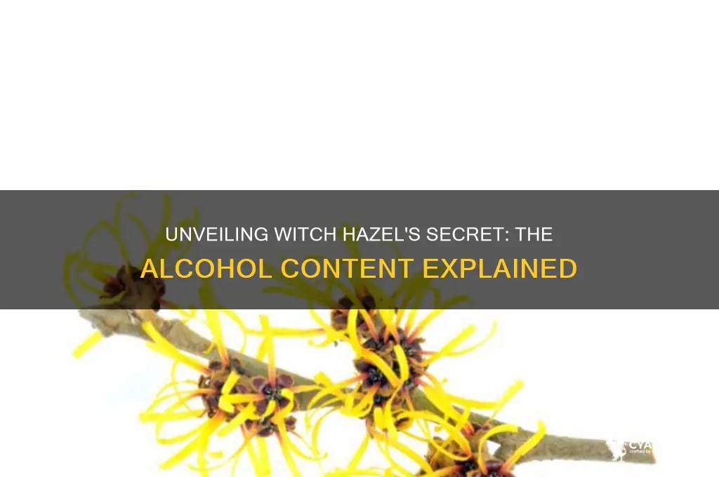 Unveiling Witch Hazel's Secret: The Alcohol Content Explained | CyAlcohol