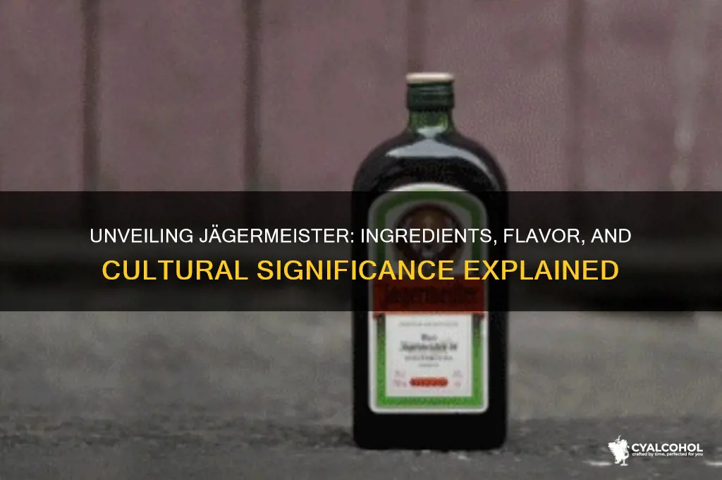 Unveiling Jägermeister: Ingredients, Flavor, And Cultural Significance ...
