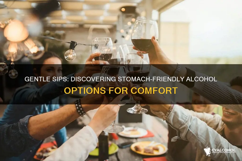 Gentle Sips: Discovering Stomach-Friendly Alcohol Options For Comfort ...