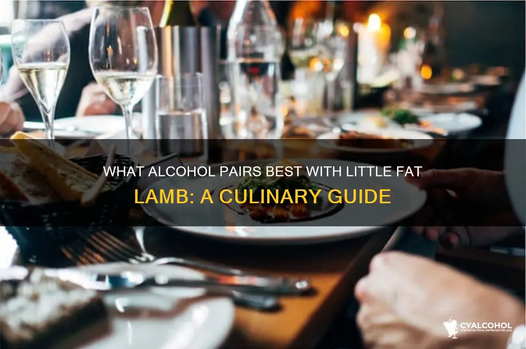 What Alcohol Pairs Best With Little Fat Lamb: A Culinary Guide | CyAlcohol
