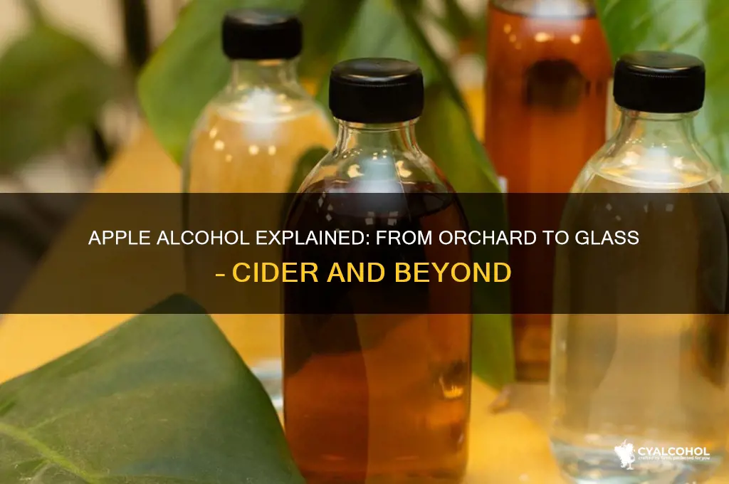 Apple Alcohol Explained: From Orchard To Glass – Cider And Beyond ...