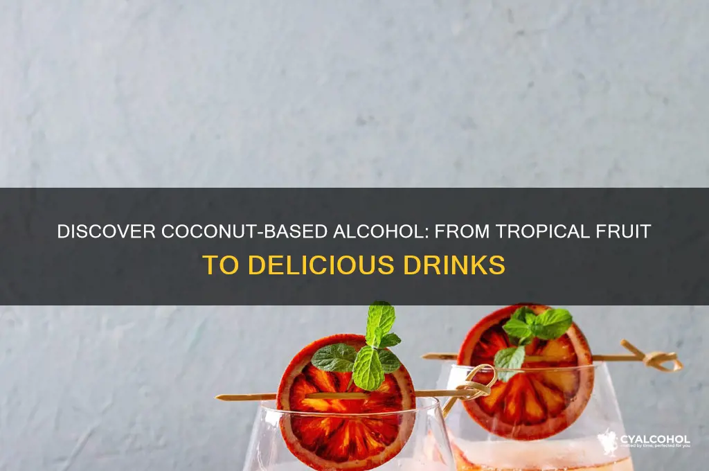 Discover Coconut-Based Alcohol: From Tropical Fruit To Delicious Drinks ...