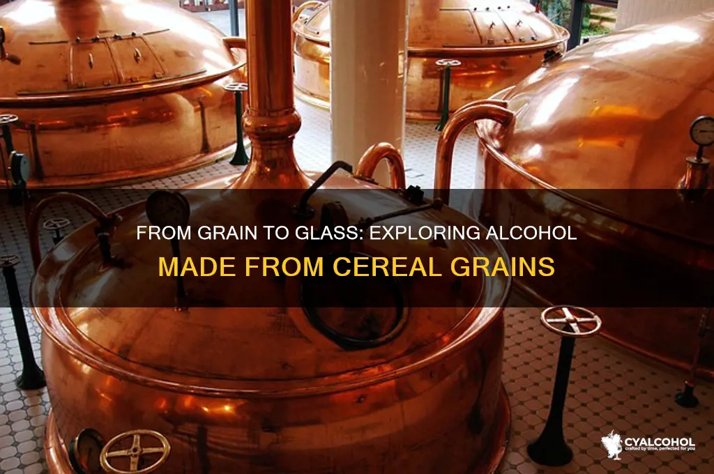 From Grain To Glass: Exploring Alcohol Made From Cereal Grains | CyAlcohol