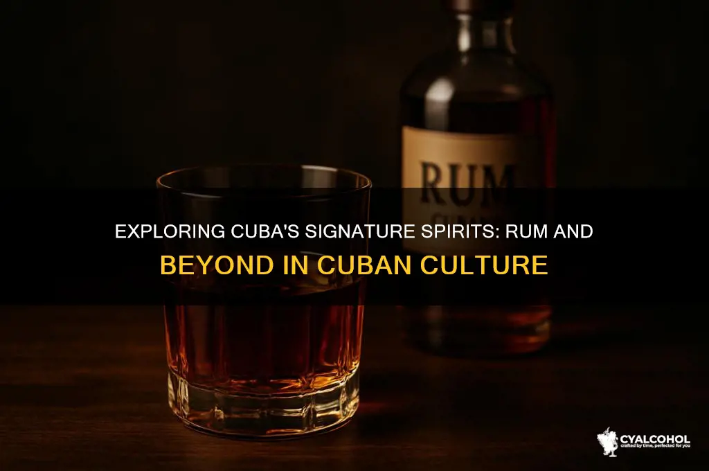 Exploring Cuba's Signature Spirits: Rum And Beyond In Cuban Culture ...