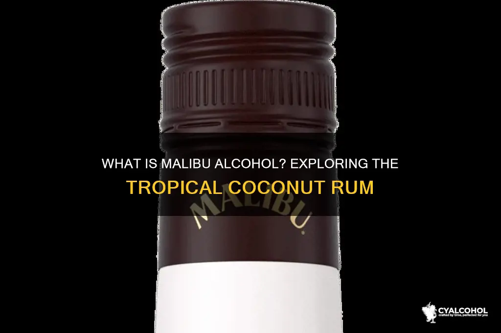 What Is Malibu Alcohol? Exploring The Tropical Coconut Rum | CyAlcohol
