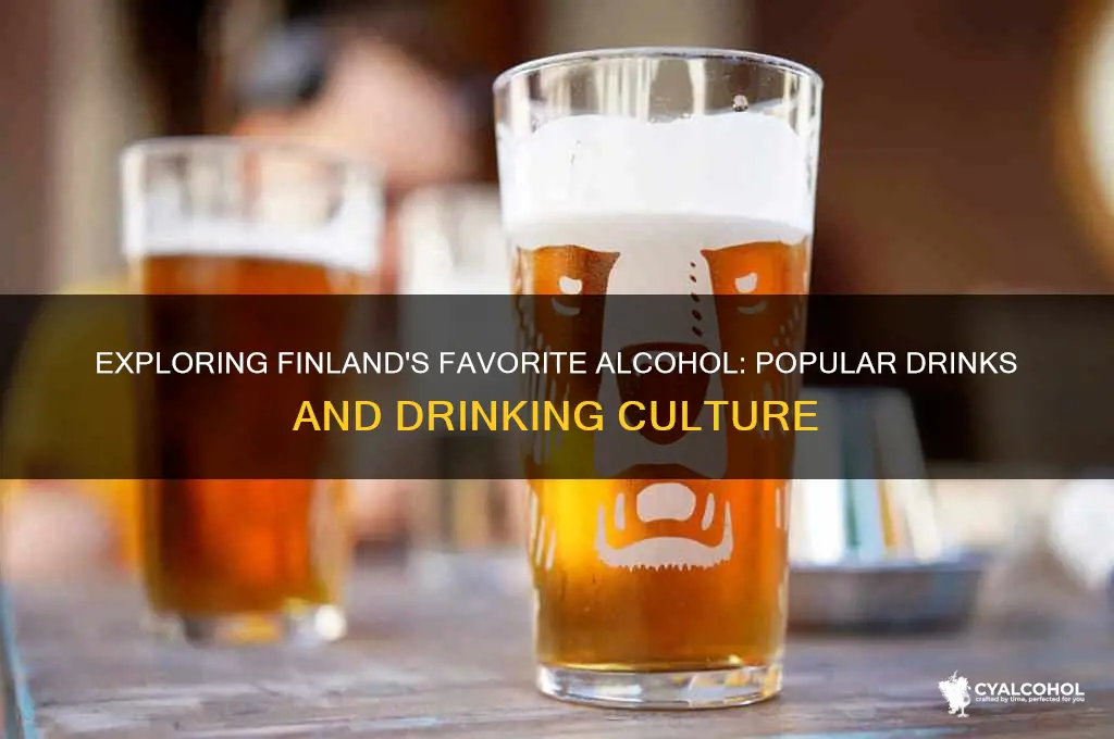 Exploring Finland's Favorite Alcohol: Popular Drinks And Drinking ...