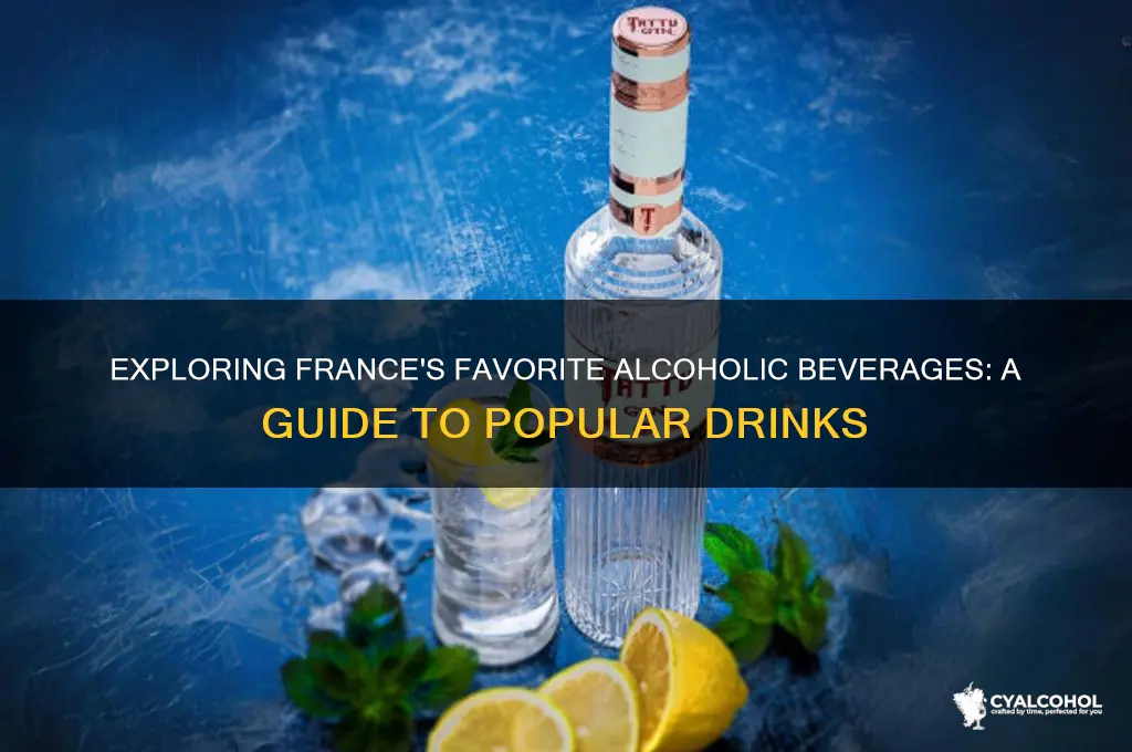 Exploring France's Favorite Alcoholic Beverages: A Guide To Popular ...