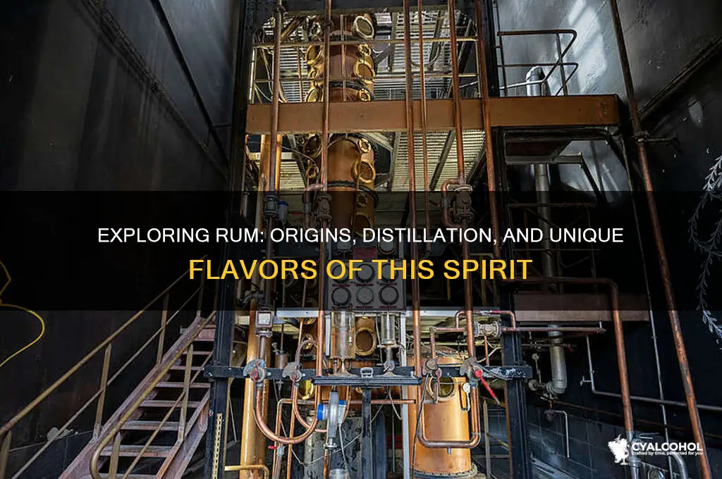 Exploring Rum: Origins, Distillation, And Unique Flavors Of This Spirit ...
