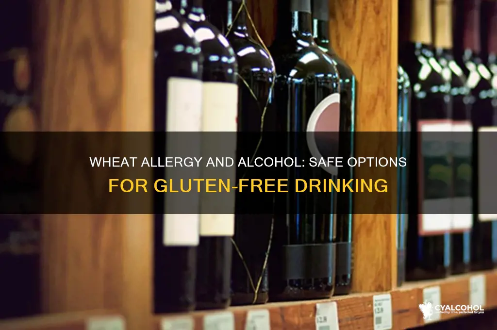 Wheat Allergy And Alcohol: Safe Options For Gluten-Free Drinking ...