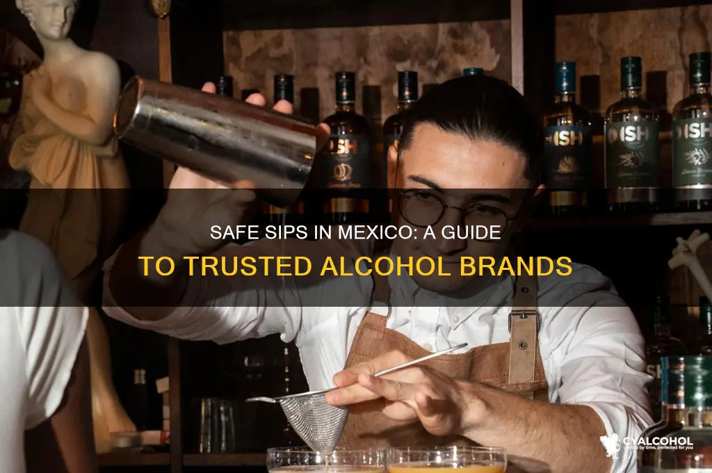 Safe Sips In Mexico: A Guide To Trusted Alcohol Brands | CyAlcohol