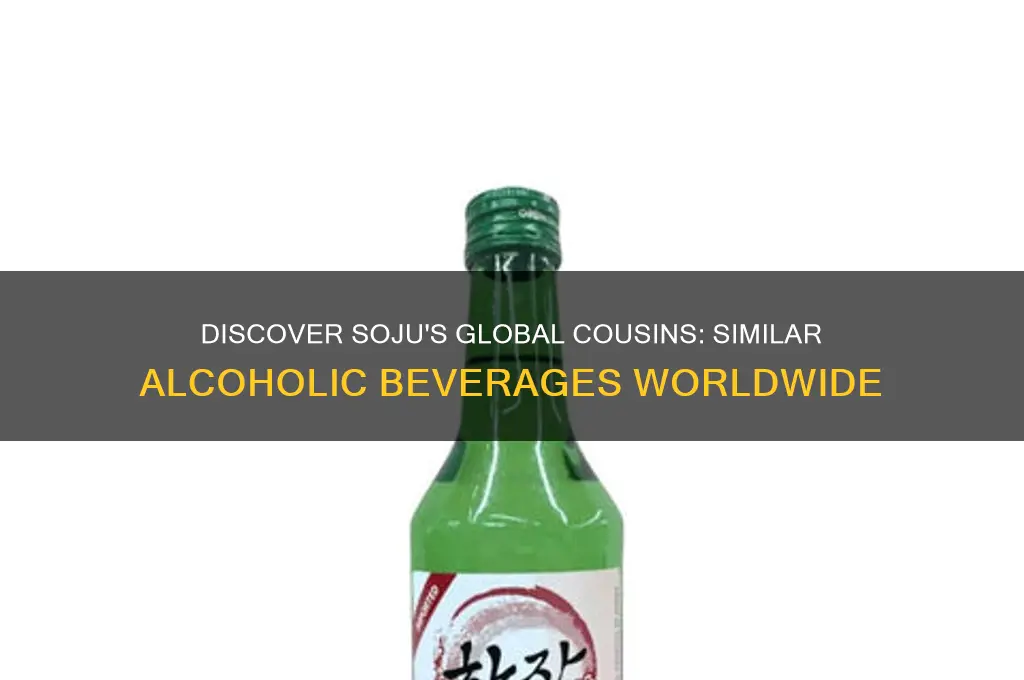 Discover Soju's Global Cousins: Similar Alcoholic Beverages Worldwide ...